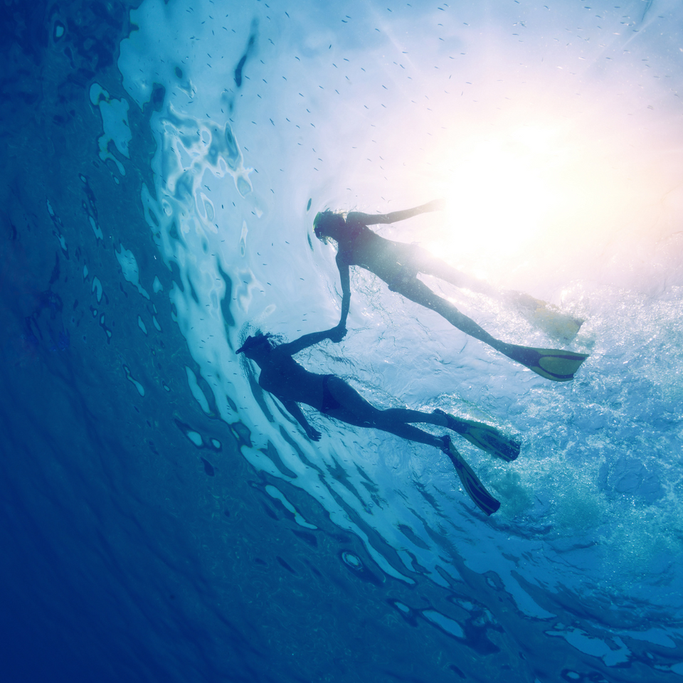 Snorkel Tours